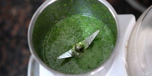 Khus Cooler, Citrus Khus Cooler | Khus Sharbat Recipe - WeRecipes