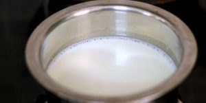 How To Make Homemade Yogurt / Curd, Steps to Make Dahi at Home